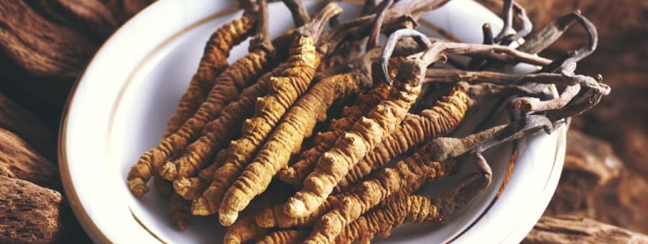 KORDITSEPS - HIINA RAHVAMEDITSIINI JÕUETUSE JA HAIGUSTE RAVIM