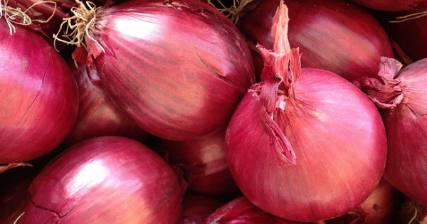 PUNANE SIBUL - TERVISLIK JA VÕIMAS