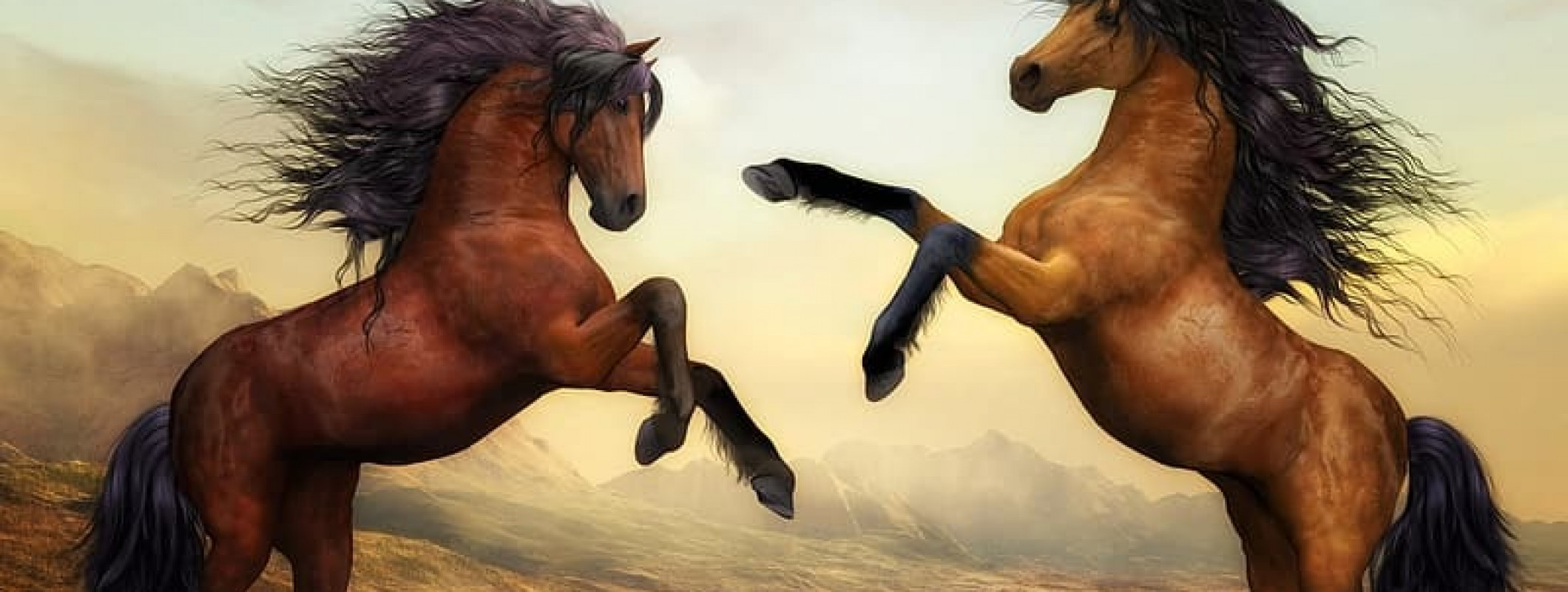 HOBUSE-AASTAL SÜNDINUTE ISELOOM JA ELUEESMÄRK