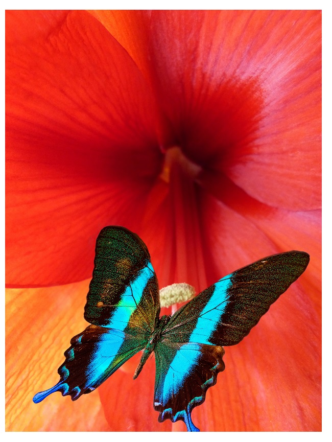 31. DETSEMBER - 5D-ENERGIA PILETI KINNI PÜÜDMINE!